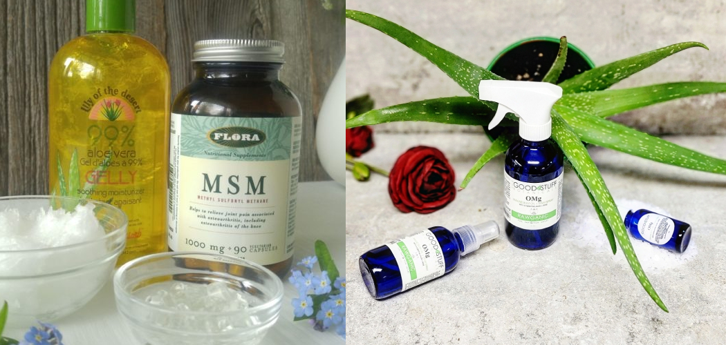 How to Dissolve MSM Powder in Oil | 9 Easy Methods (2025)