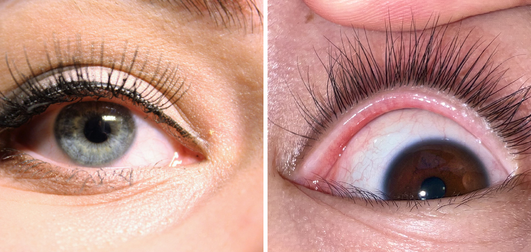 How to Apply Eyelashes Underneath | 10 Easy Steps (2026)