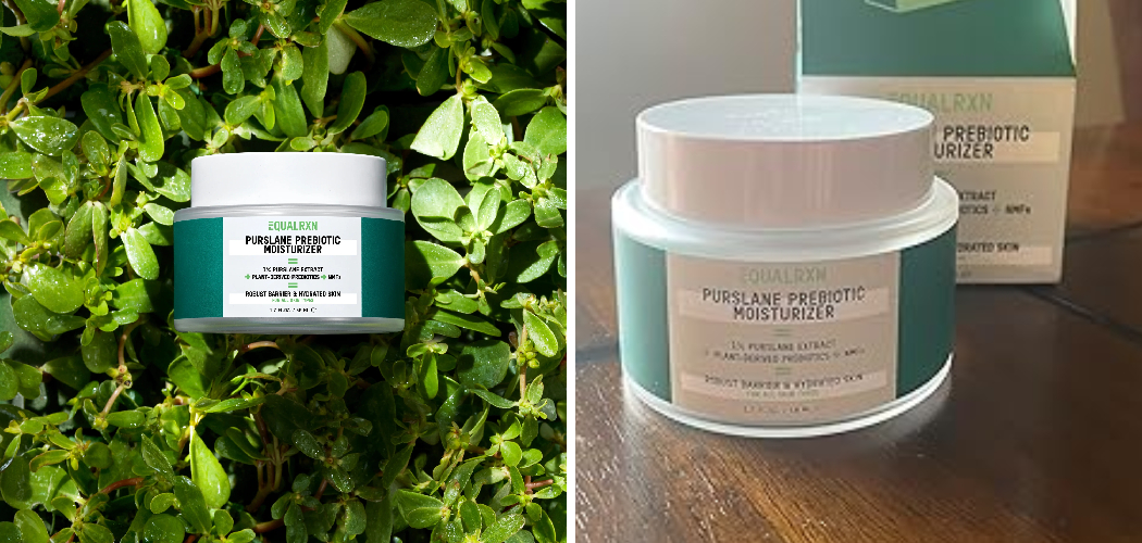 How to Make Purslane Face Cream | 2 Easy Steps (2026)