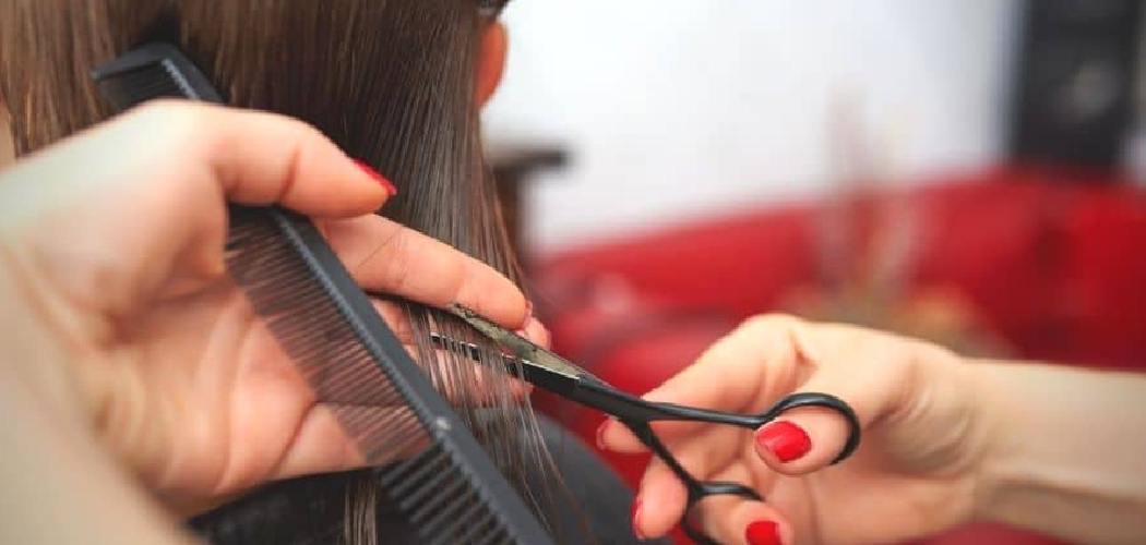 How to Trim Ends on Natural Hair | 10 Easy Steps (2025)