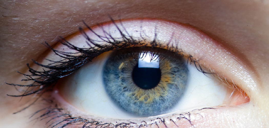 How to Clean False Eyelashes for Reuse | 10 Easy Steps (2026)